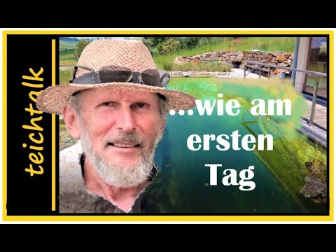 Das kennt jeder Schwimmteichbesitzer! Der Teichdoktor - YouTube