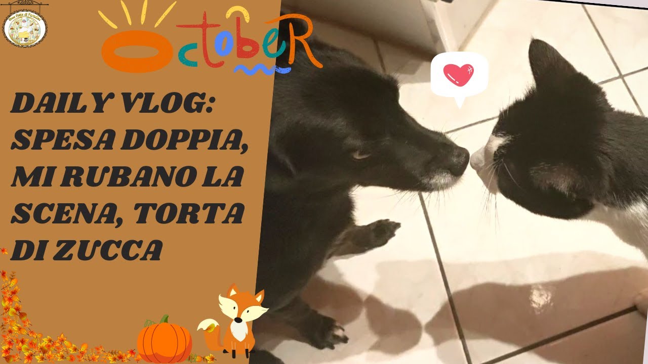 Daily Vlog: Spesa Doppia, Mi Rubano La Scena, Torta Di Zucca | Una ...