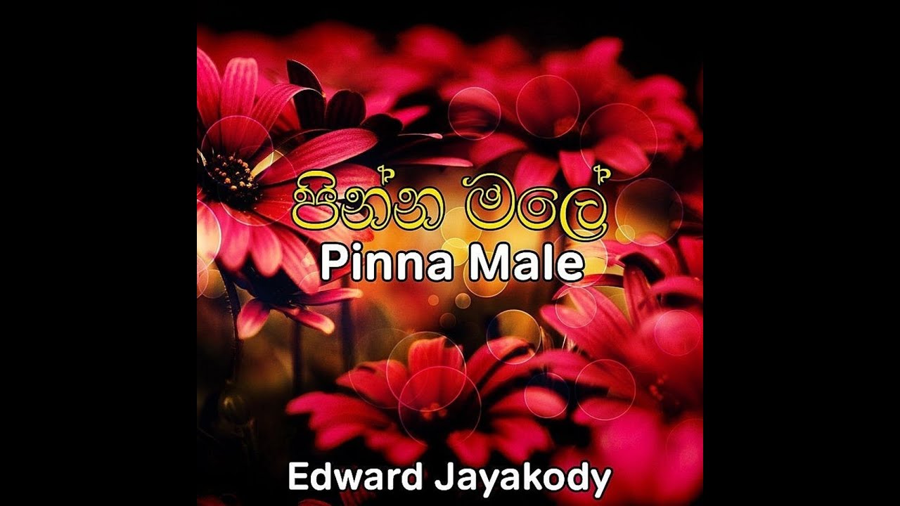 Pinna Male Suda Anna Gihin Song - YouTube