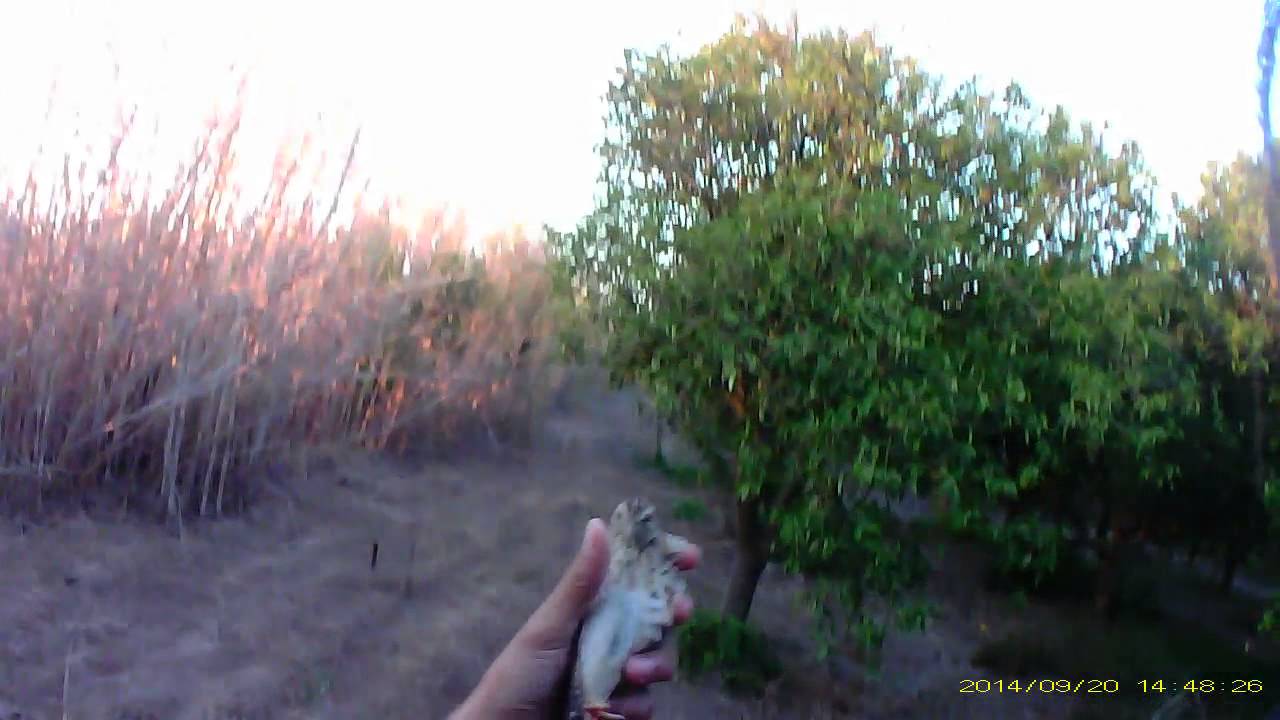 Ortikia 2014 - YouTube