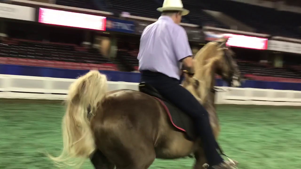 Richard Lacy Working Alastar 5 - YouTube