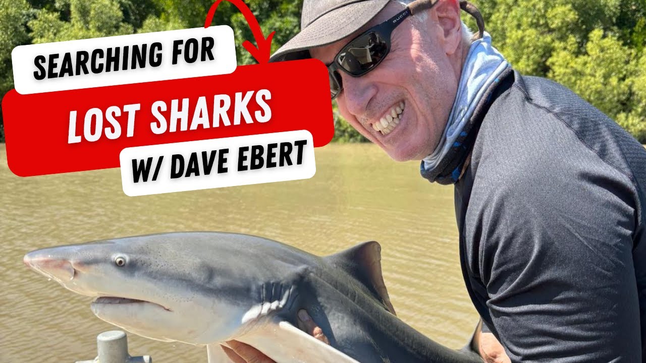 David Ebert goes searching for lost sharks in Australia and Southeast ...