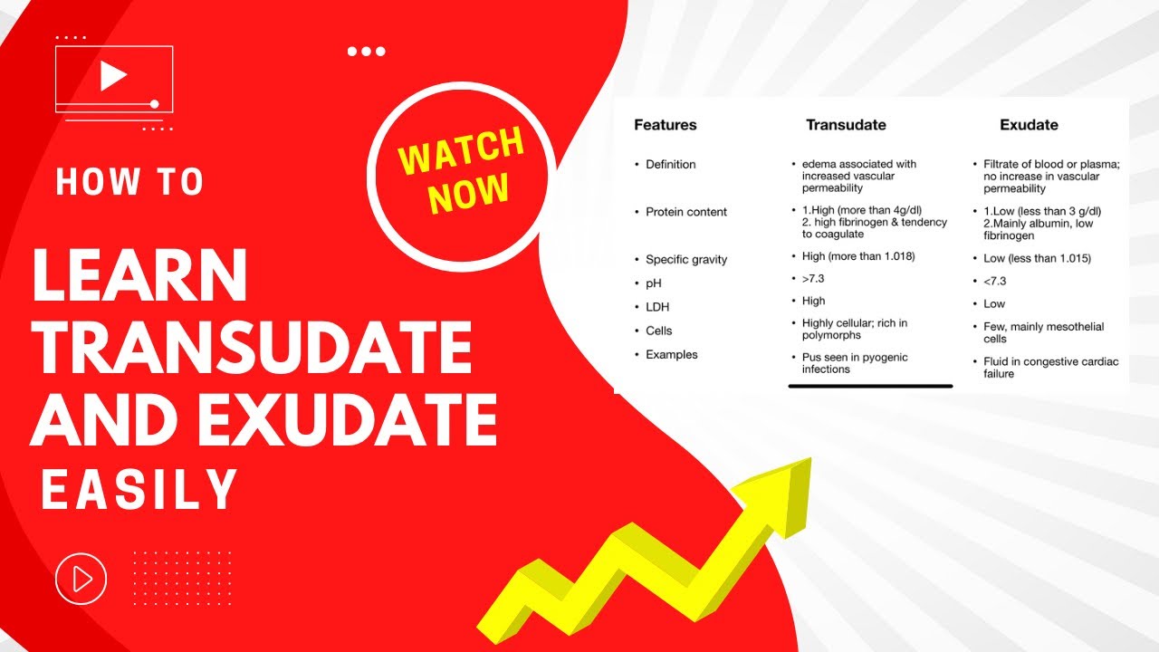 Transudate vs Exudate | pathology | MBBS - YouTube