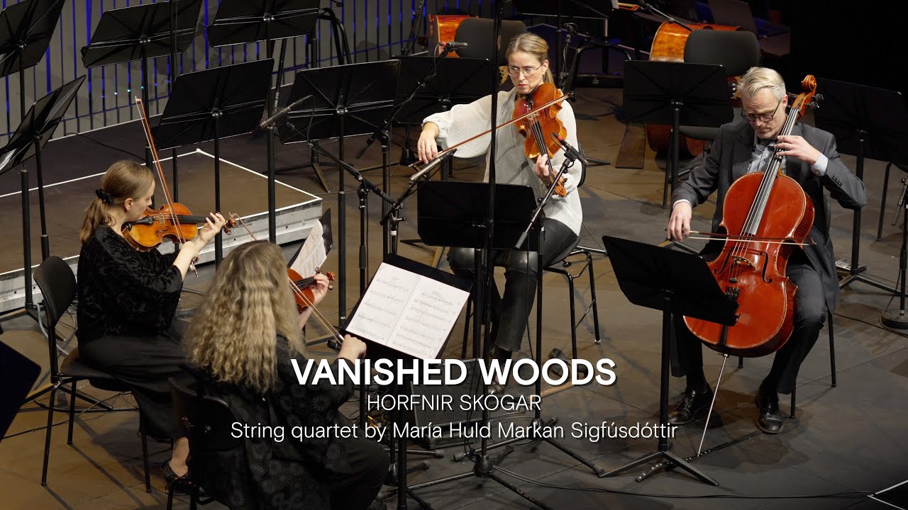 Vanished Woods by María Huld Markan Sigfúsdóttir - YouTube