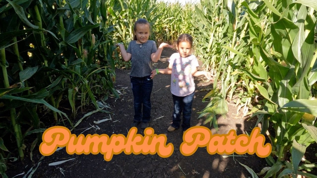 Pumpkin Patch - YouTube