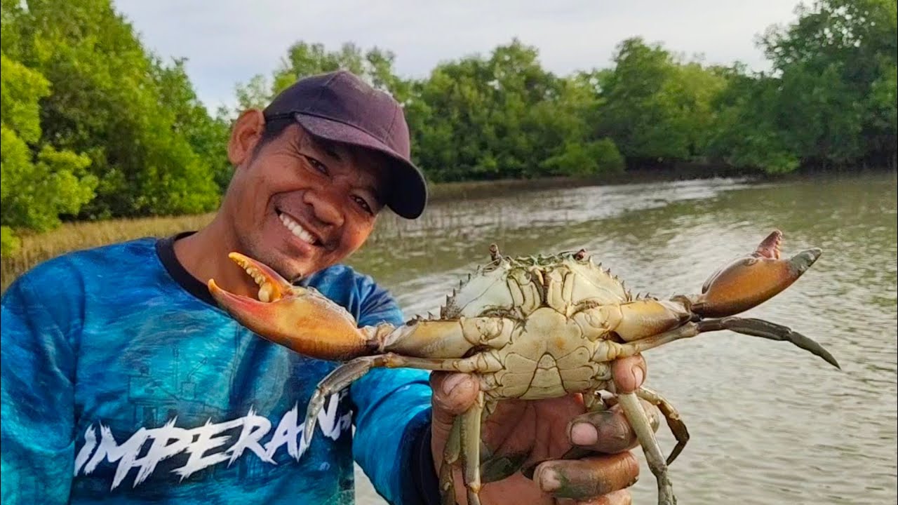 Mga Alimangong Huli Sa Palapad "Catch and Cook" Buhay Probinsya VLOG148 ...