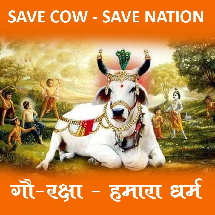 gau raksha - Save Cow Save Nation - YouTube