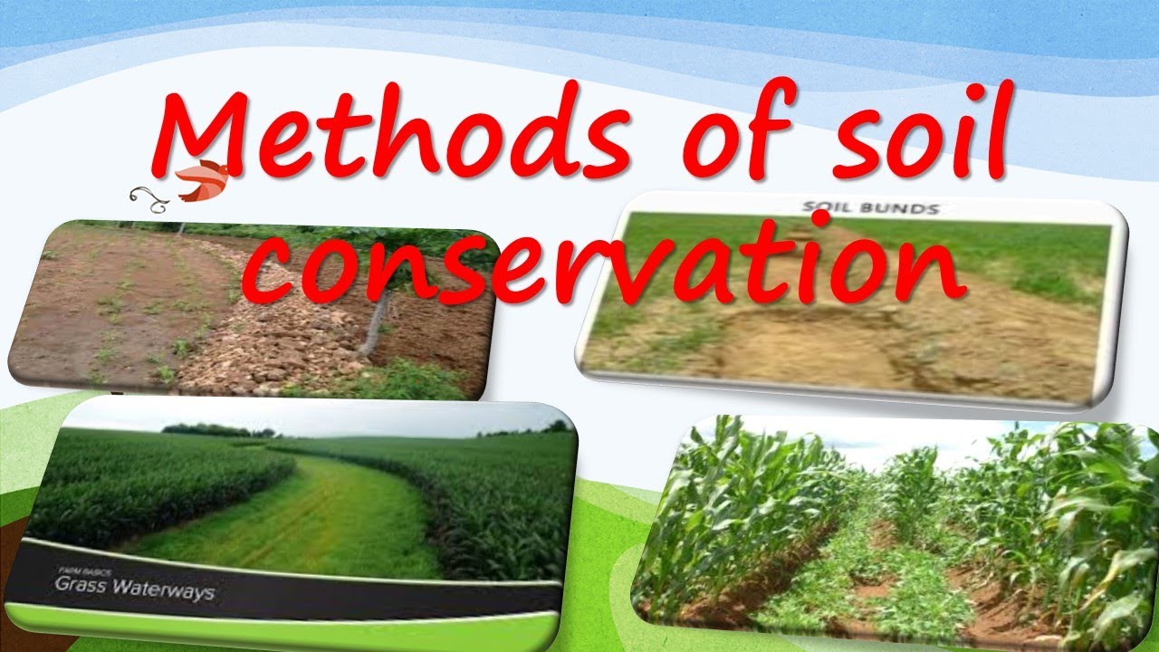 METHODS OF SOIL CONSERVATION. - YouTube