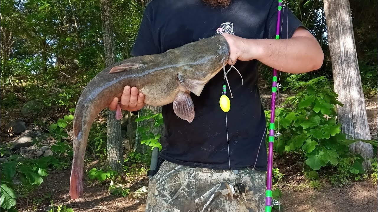 How I Tie A Carolina Rig and Santee Cooper Rig For Catfish - YouTube