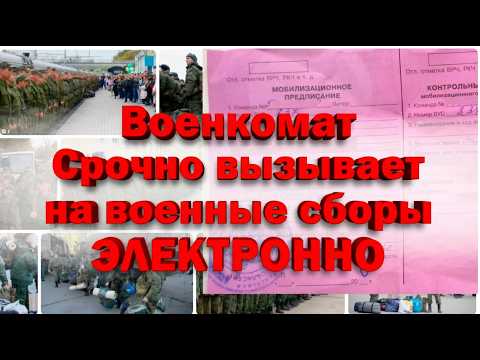 ВОЕНКОМАТ срочно вызвал на ВОЕННЫЕ СБОРЫ и выдал моб.предписание 2026
