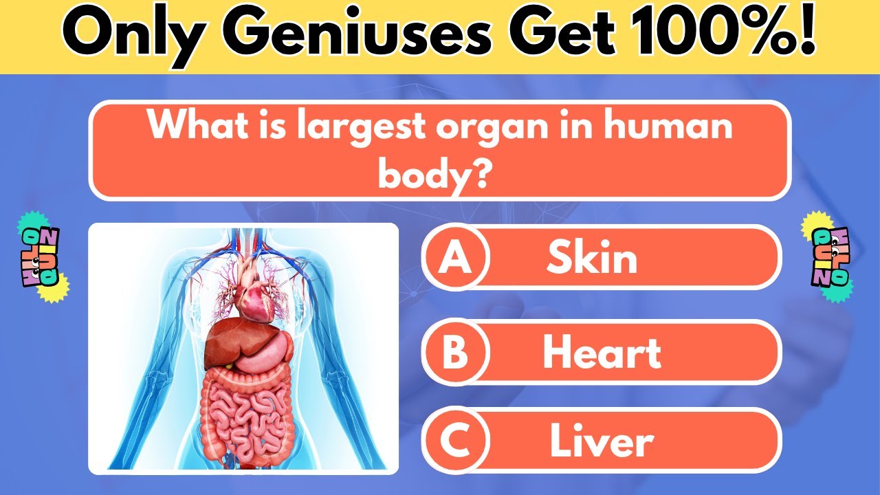 Ultimate Human Body Quiz – Think You Know Yourself? || HiloQuiz - YouTube