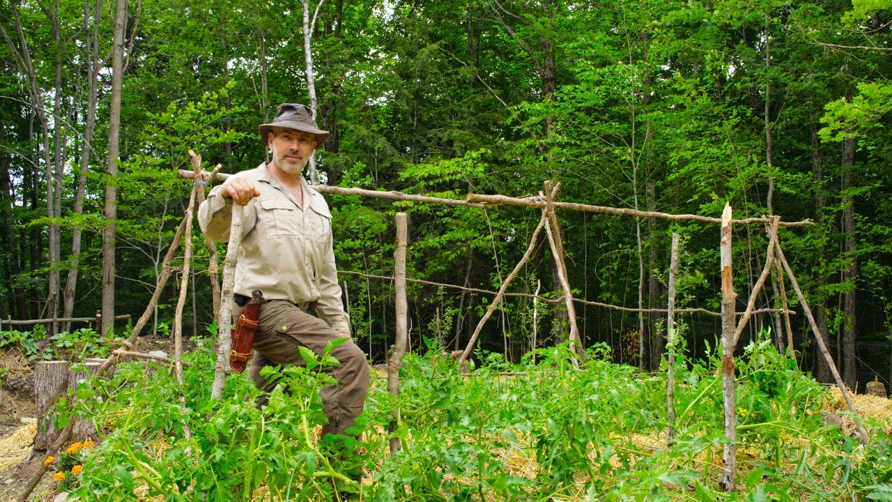Bushcraft Project, Tomato Trellis, Firewood, Log Cabin Life | Gardening ...