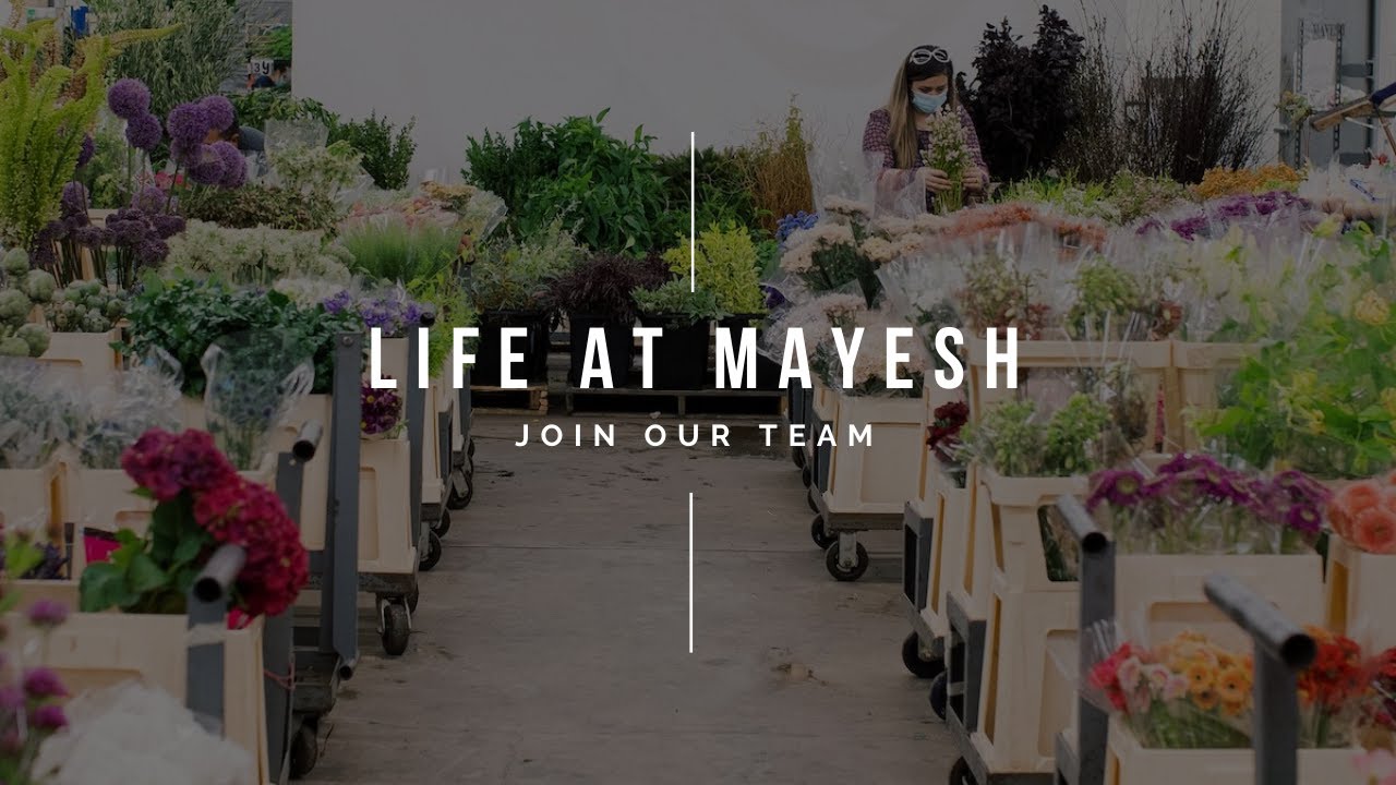 Life at Mayesh: Join our Team - YouTube