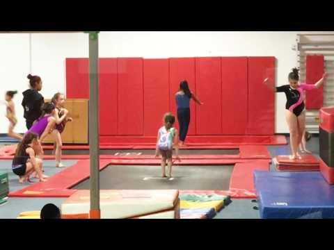 TWINS IN THE GYM - GYMNASTICS WITH ANNIE & ALLIE!
