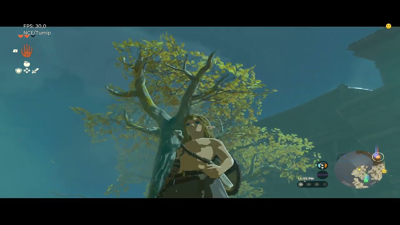 SUDACHI 30FPS The Legend Of Zelda Tears Of The Kingdom Snapdragon 8 gen ...