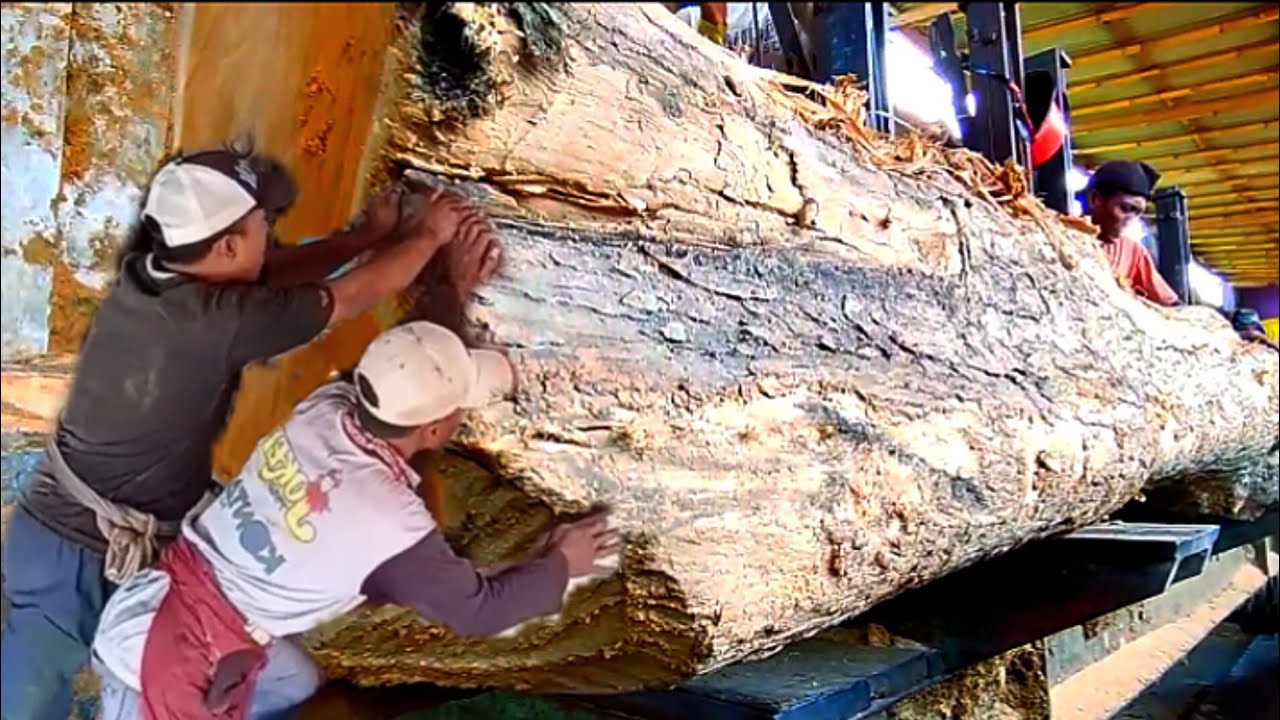 This Woodworker has Amazing Tricks for Sawing Teak Wood with Lightning ...