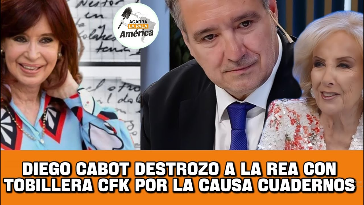DIEGO CABOT DESTROZÓ A LA REA CON TOBILLERA CFK POR LA CAUSA CUADERNOS ...