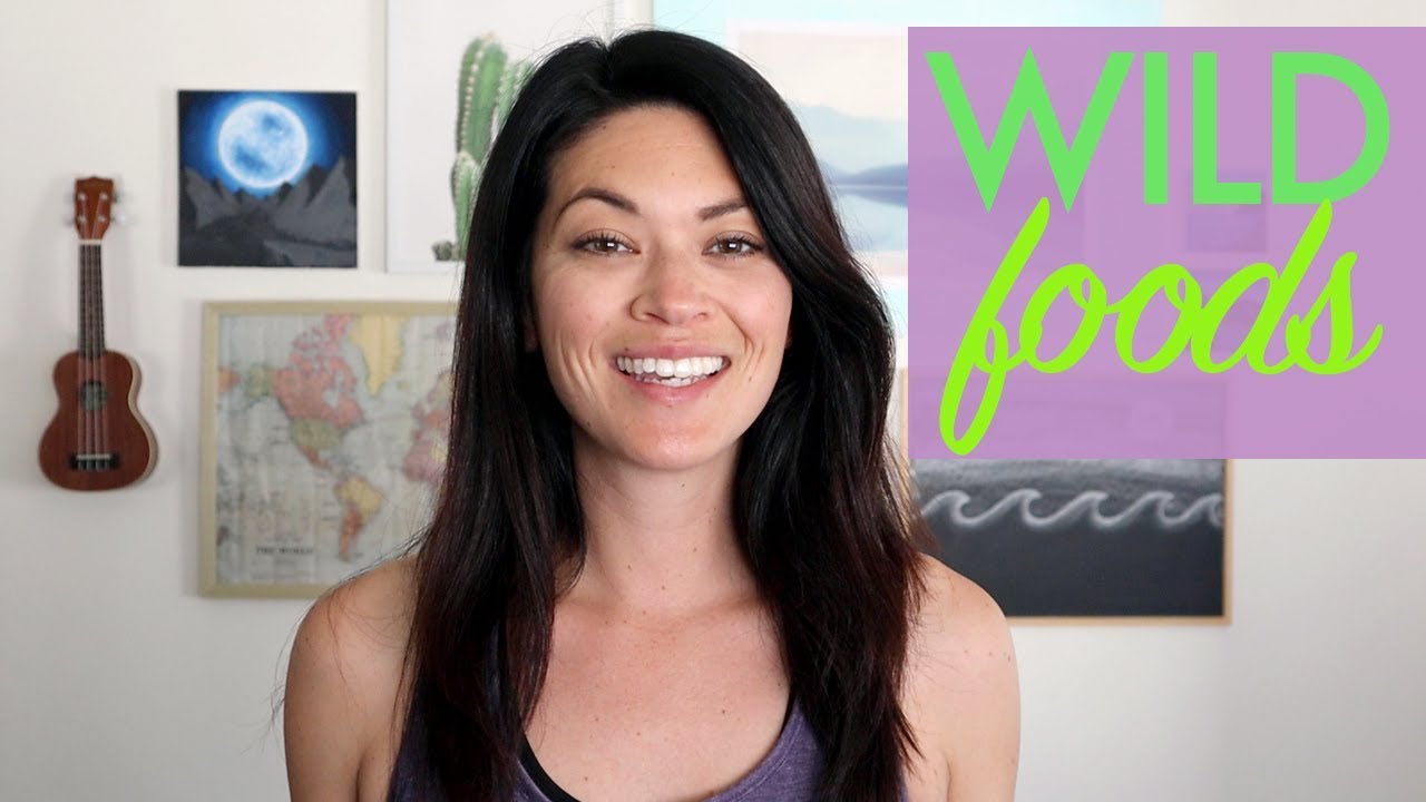 10 beginner TIPS for FORAGING // New Zealand - YouTube