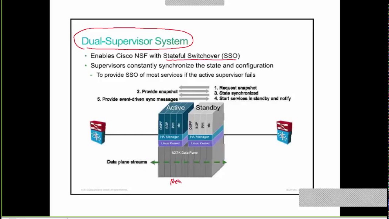 UniNets : Nexus High Availability Online Free Training Video - YouTube