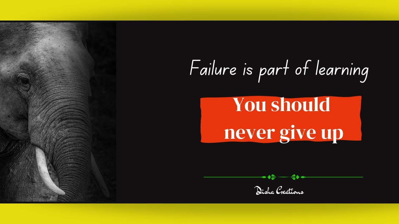 Breaking the Chains: The Elephant Rope Tale - YouTube