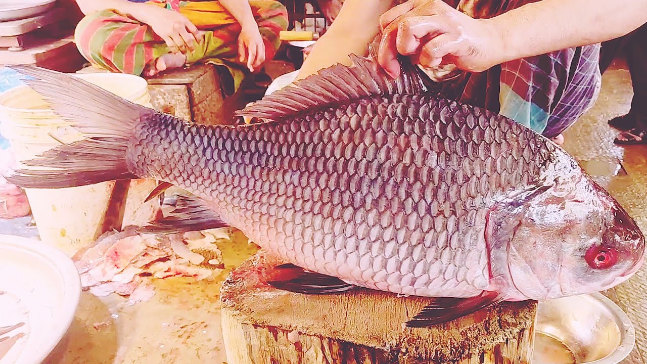 Amazing Huge Catla Fish Cutting Live In Fish Market - YouTube