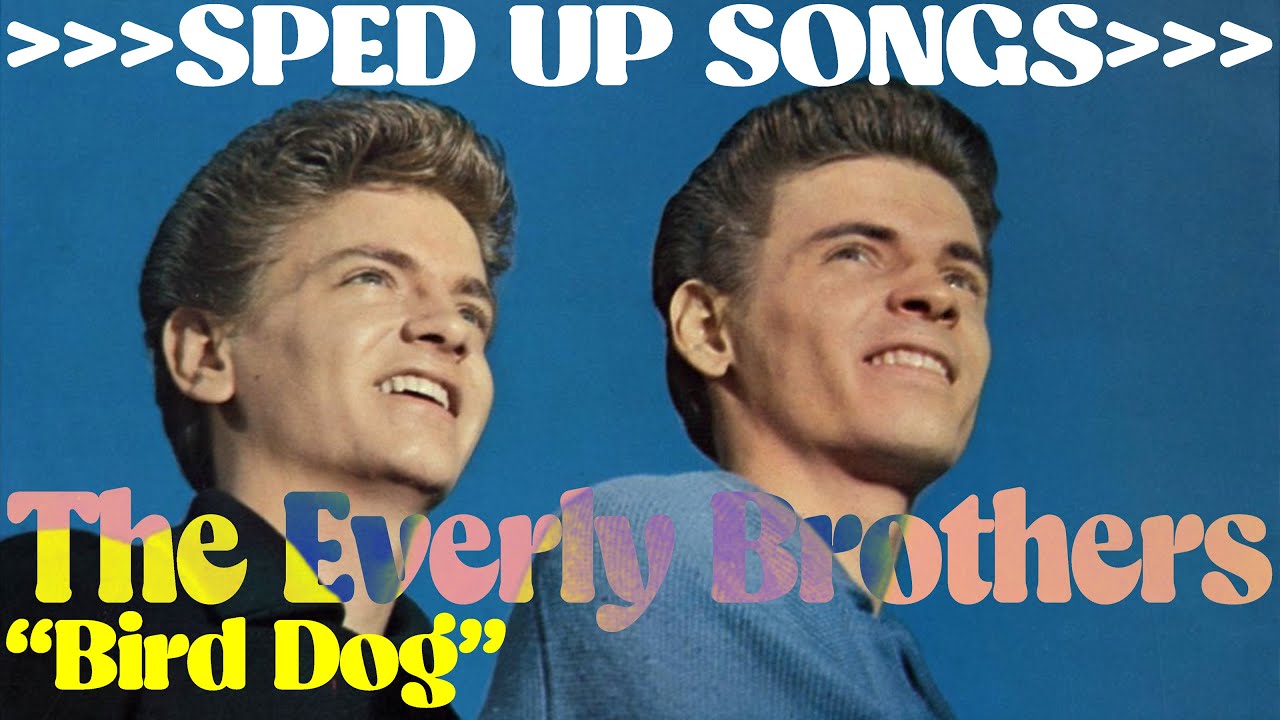 The Everly Brothers - "Bird Dog'" }}}}}}}SPED UP SONGS}}}}}}} 🎶🐿️🎶 ...