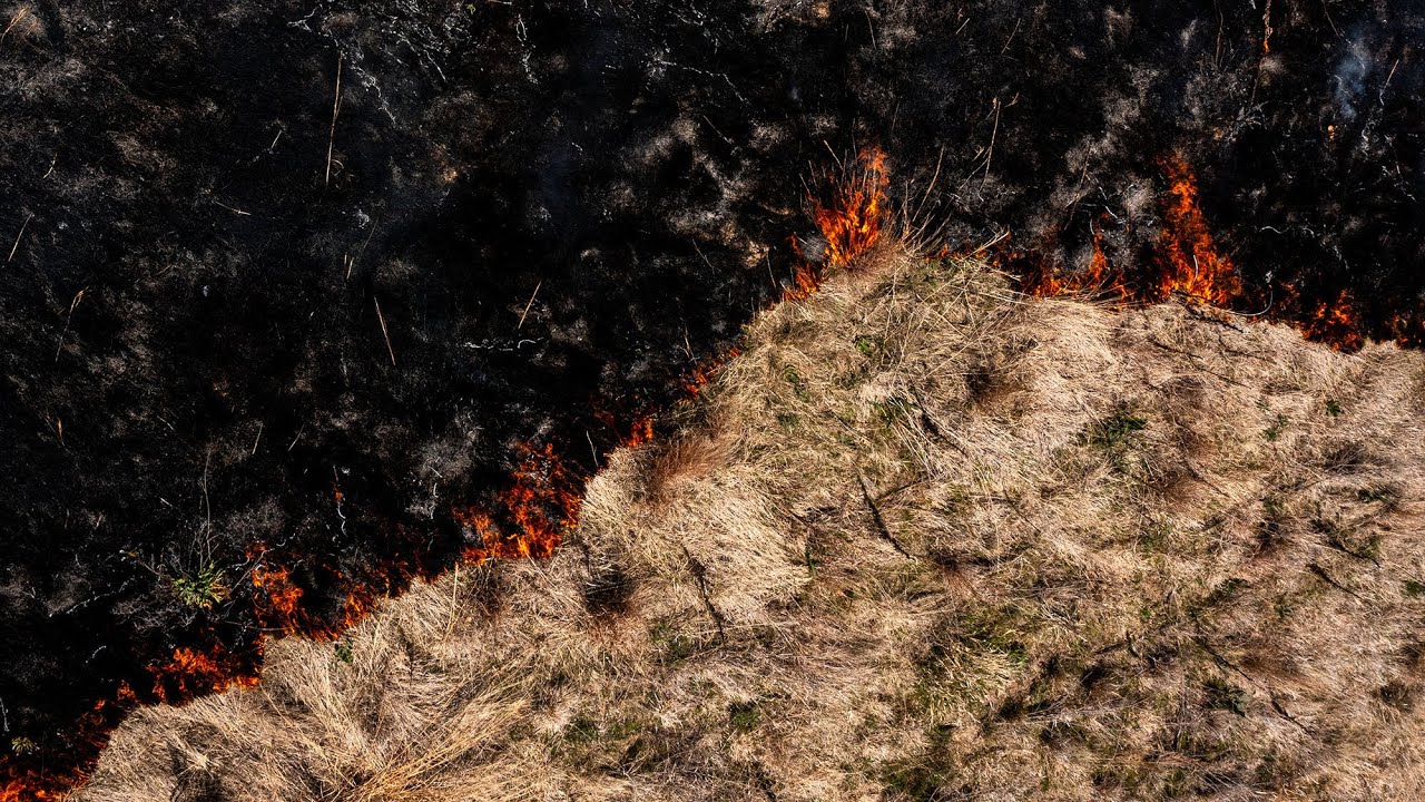Lauritzen Gardens uses prescribed burns to help prevent wildfires and ...