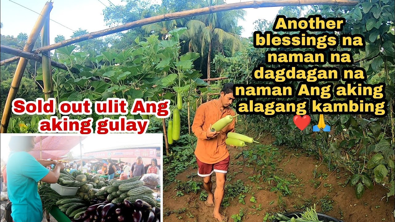May Nanganak na naman.+ sold out ulit Ang mga gulay.+ may Manganak pa.# ...