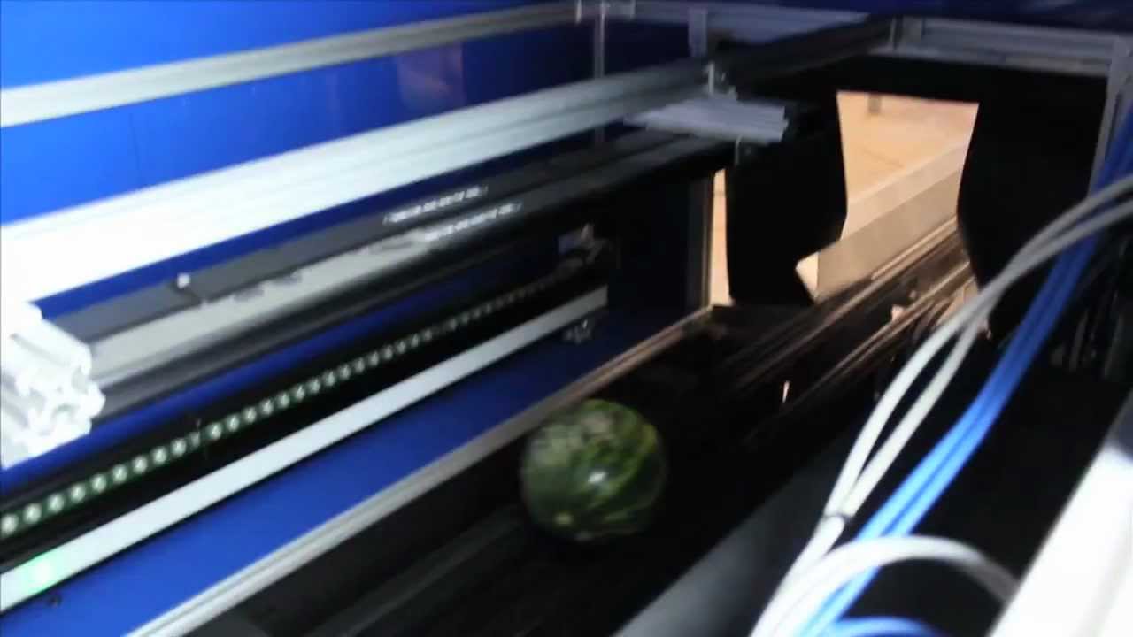 Exeter Watermelon Final Ver 2 - YouTube