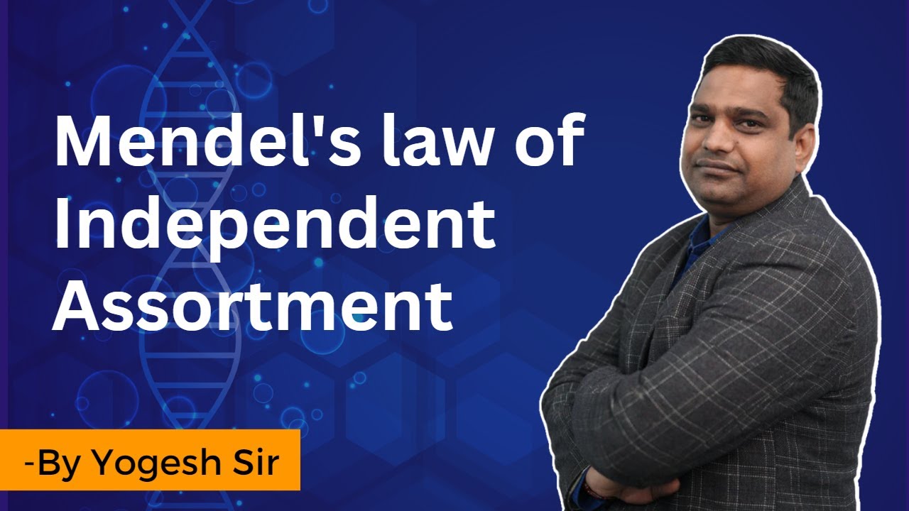 Mendel's law of independent assortment Part-1 - YouTube