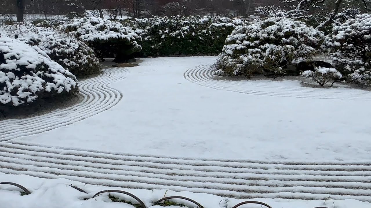 Missouri Botanical Garden in January, 2024. Beautiful Snow Day in St ...