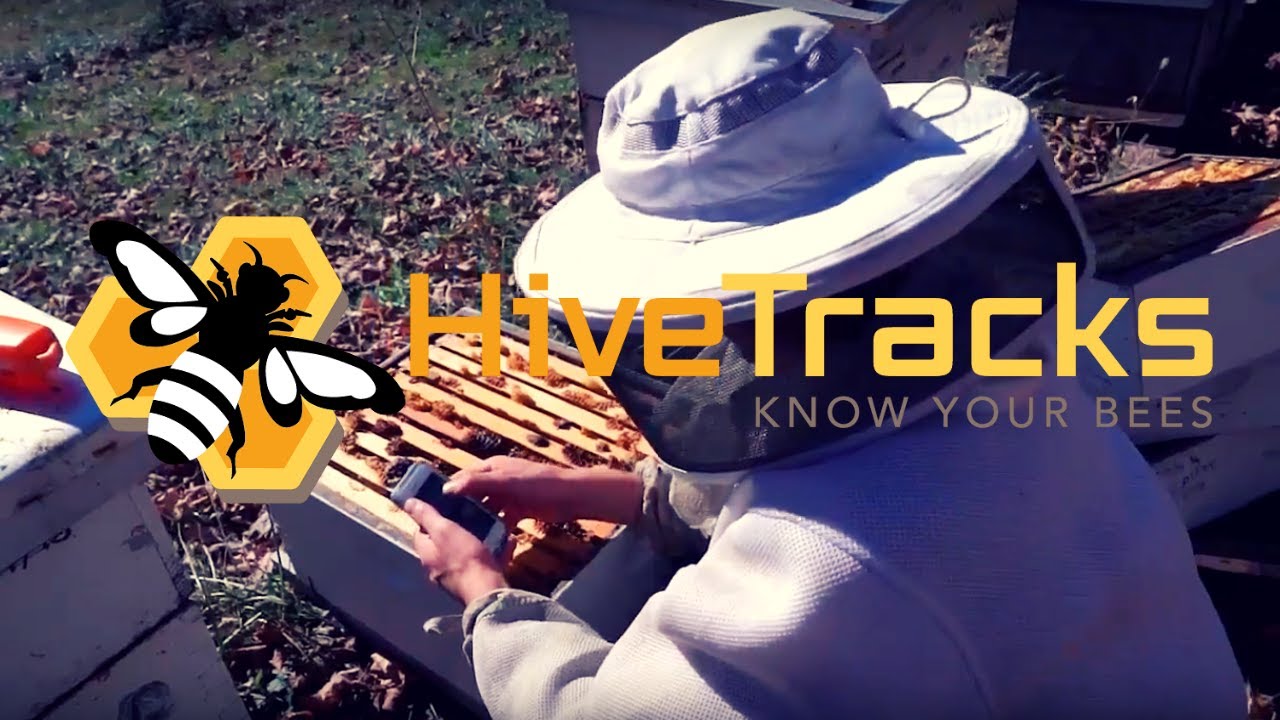 HiveTracks | Hive Management Software - YouTube