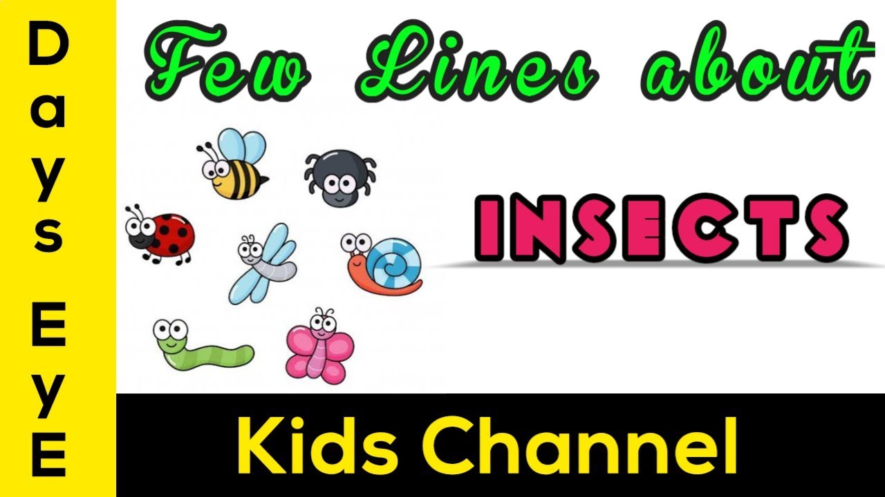 10 Lines Essay on Insects | Few Lines about Insects - YouTube