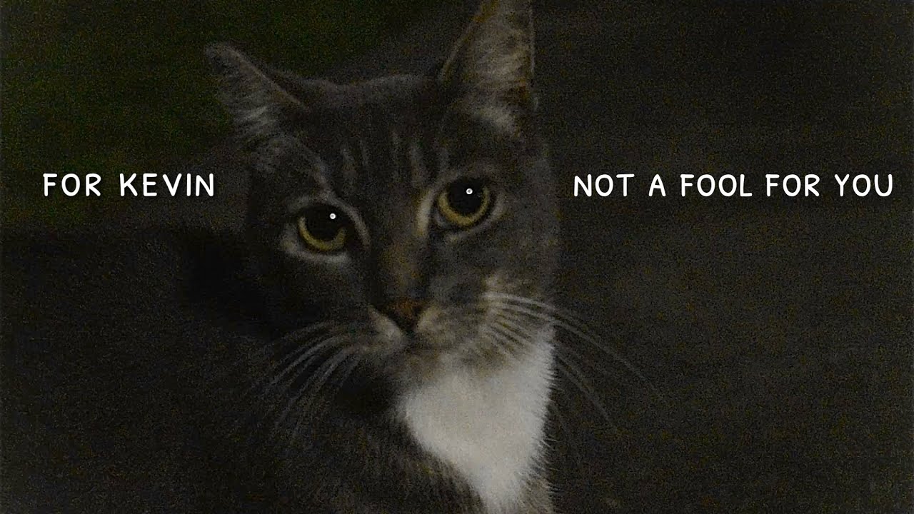 not a fool for you (official music video) - YouTube