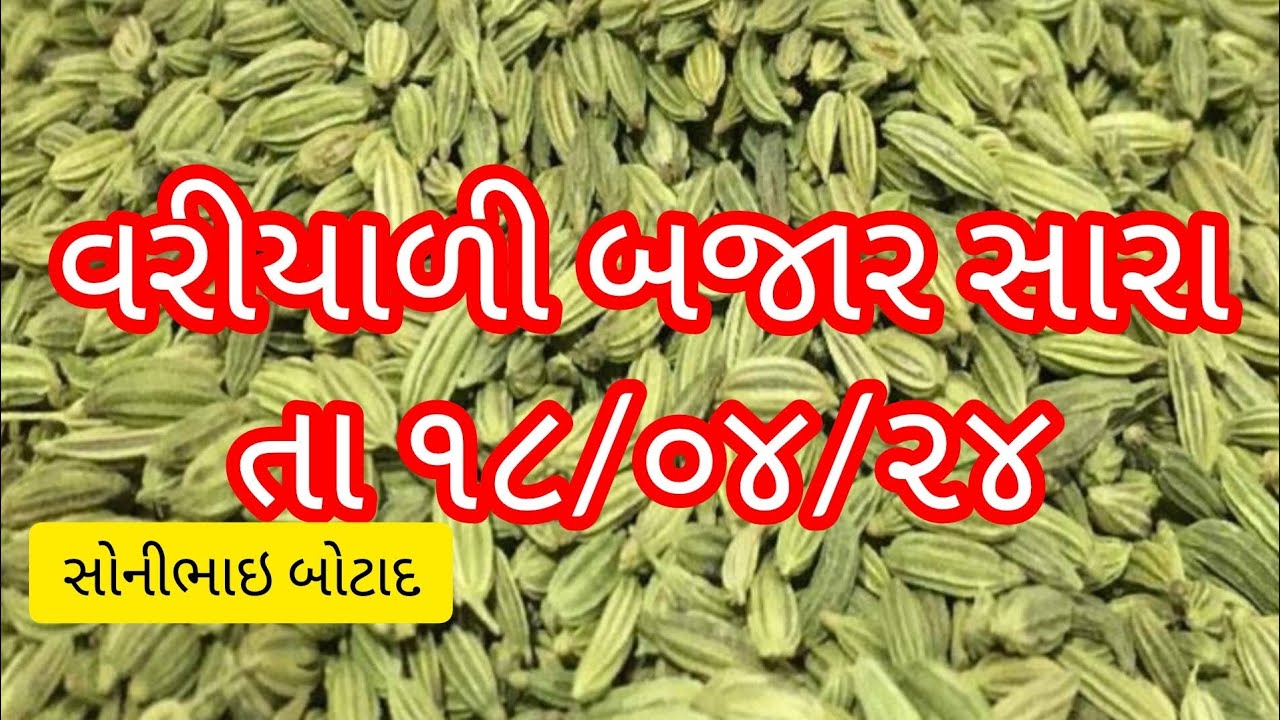 તા ૧૮/૪/૨૪ વરીયાળી ભાવ|cotton|Live rate |Botad yard|Live haraji# ...