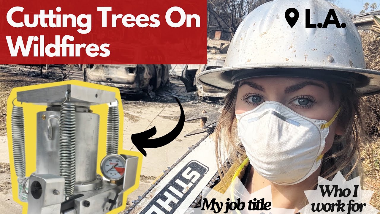 Working On Wildfires As A Timber Faller | Feat. My Time In L.A. - YouTube