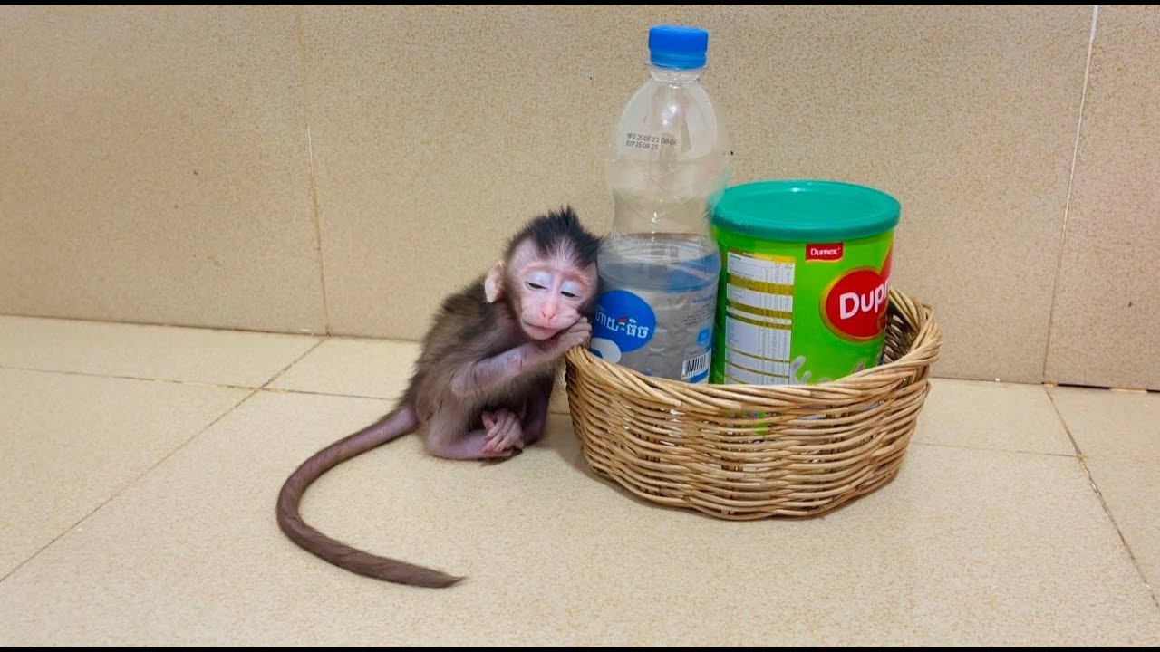 Koi p-or sleep hunqry because mom go to market lonq time - YouTube