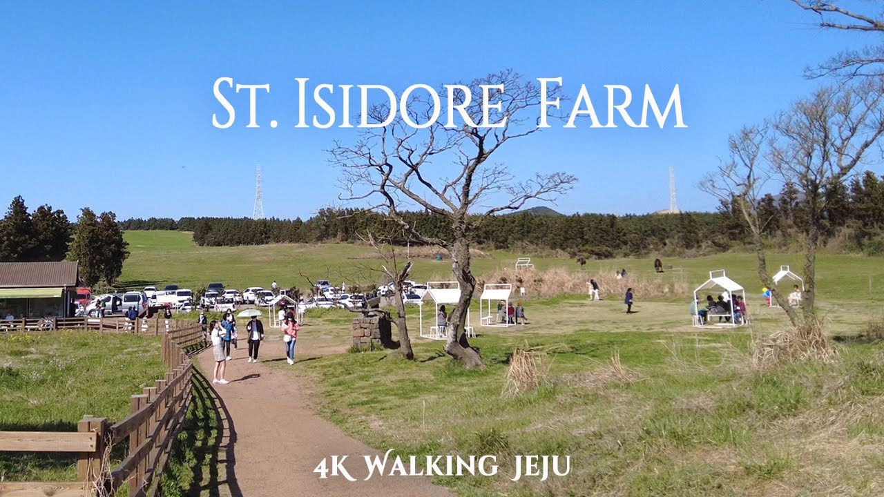 St. Isidore Farm, Jeju | Open Fields & Farm Walk | 4K - YouTube