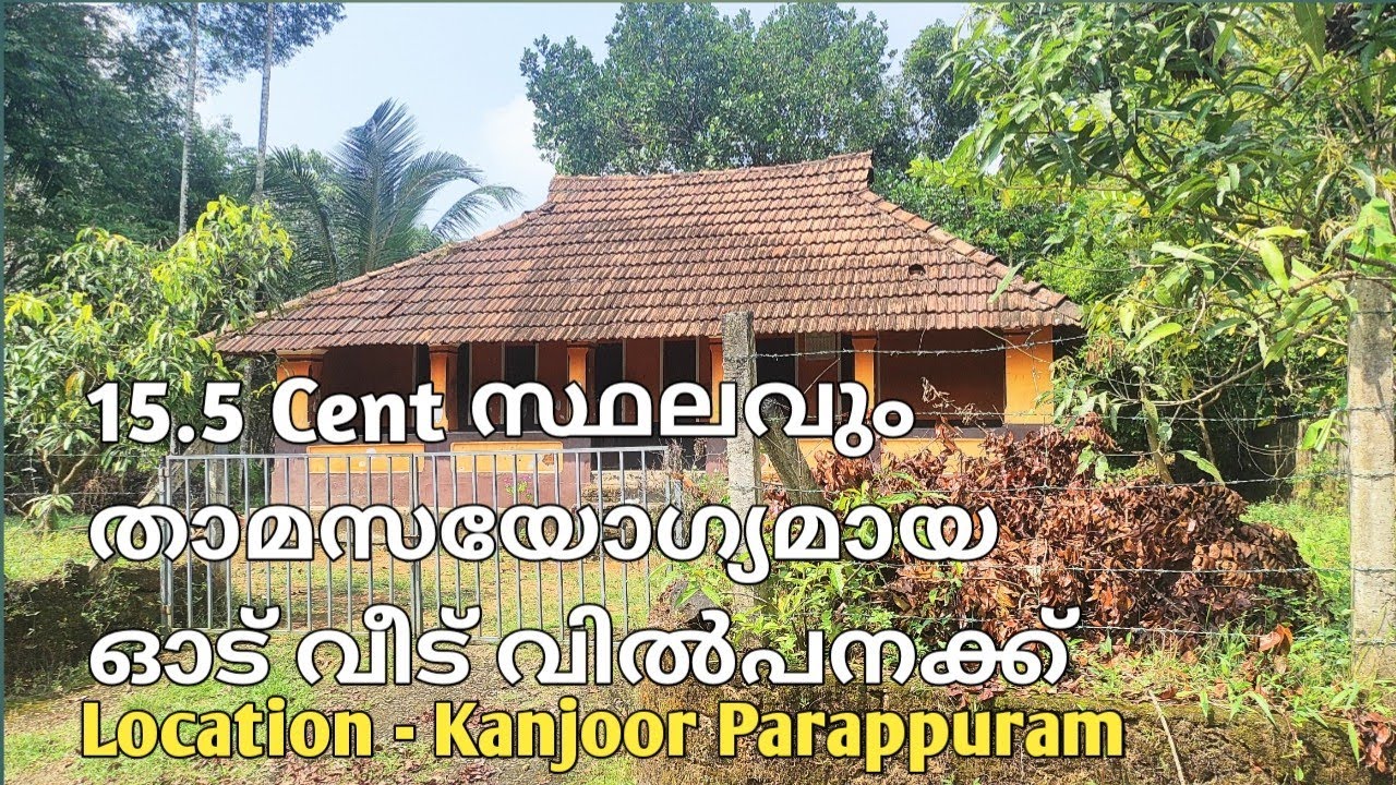 15.5 cent land with tiled house for sale in kalady|Airport,Aluva ...