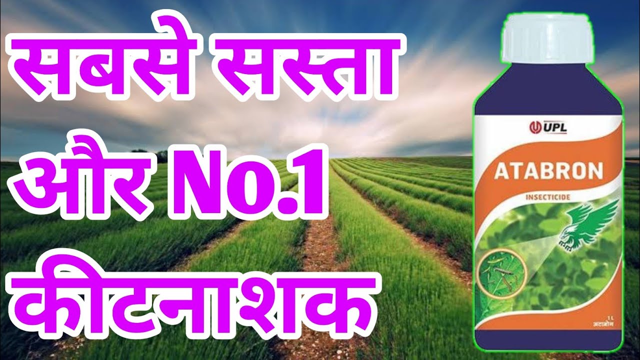 सबसे सस्ता और No.1 कीटनाशक।Atabron Insecticide।Upl Atabron Insecticide ...