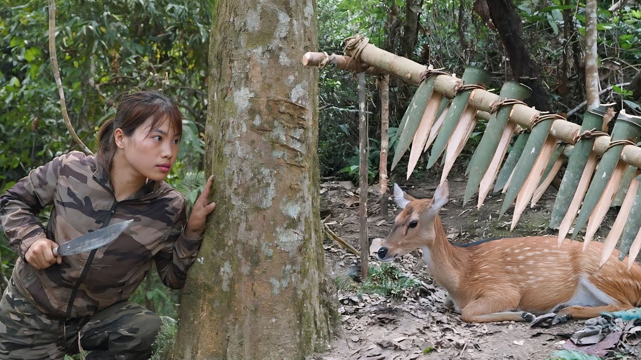 200 days of survival in the wild, making traps to catch deer and wild ...