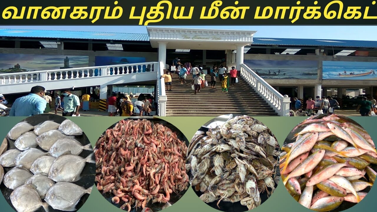 வானகரம் புதிய மீன் சந்தை | New Vanagaram fish market, Chennai sea food ...