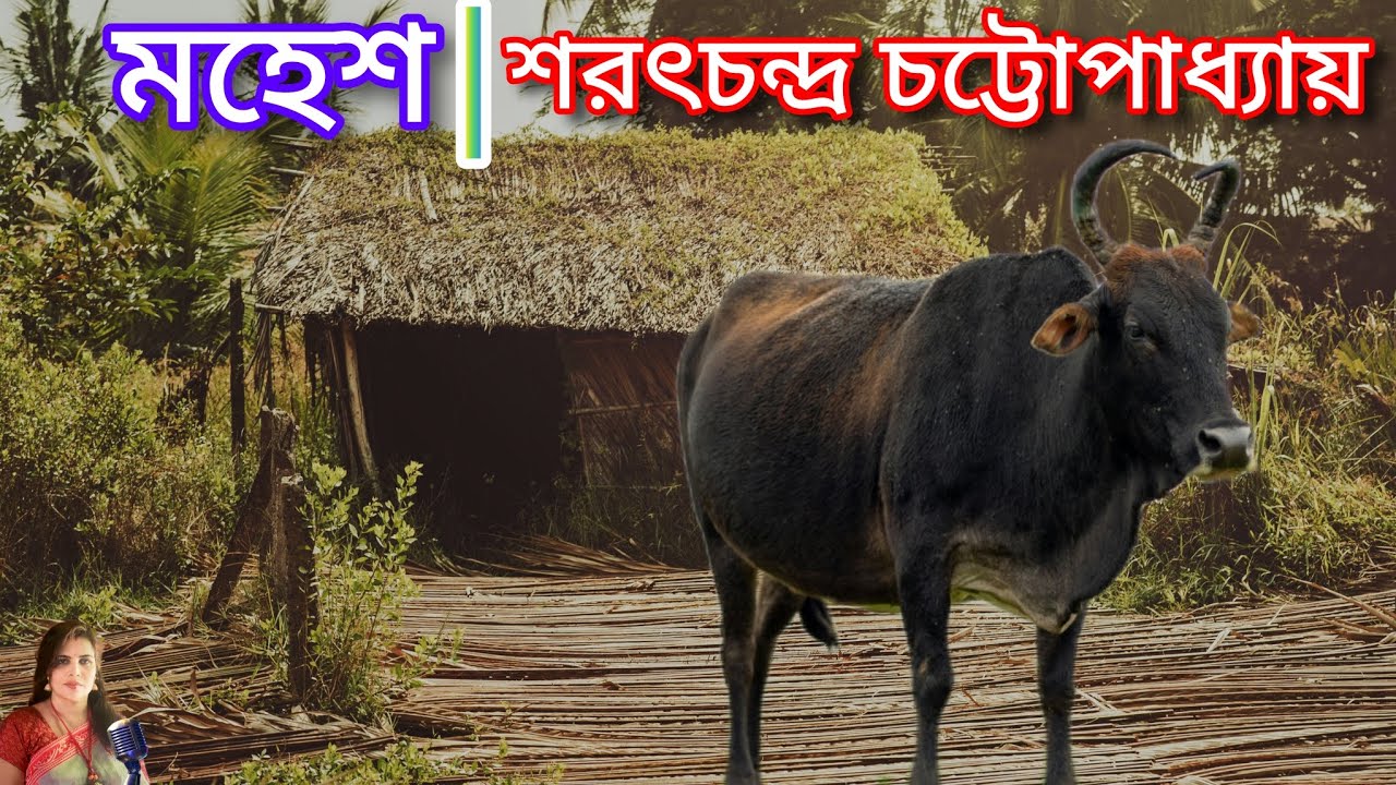 "Mahesh" by Sarat Chandra | Heartfelt Bengali Audio Storytelling by ...