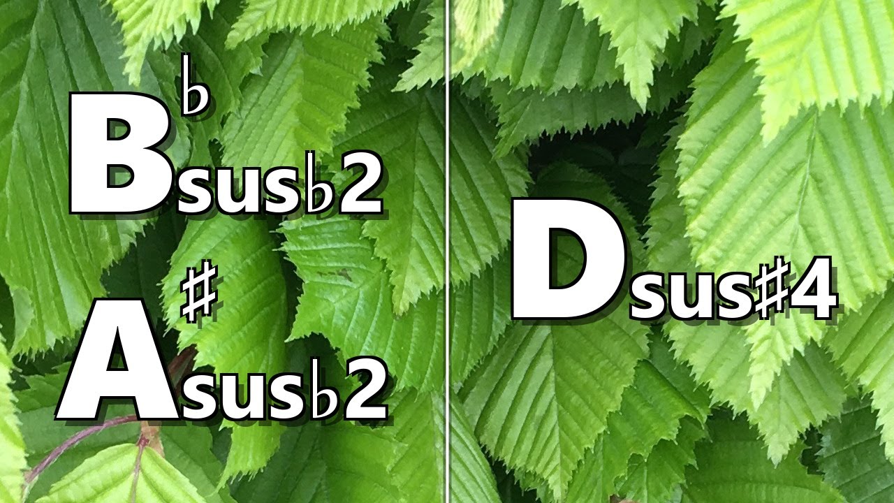 Bbsus b2 (A#sus b2) to Dsus #4 Backing Track - YouTube