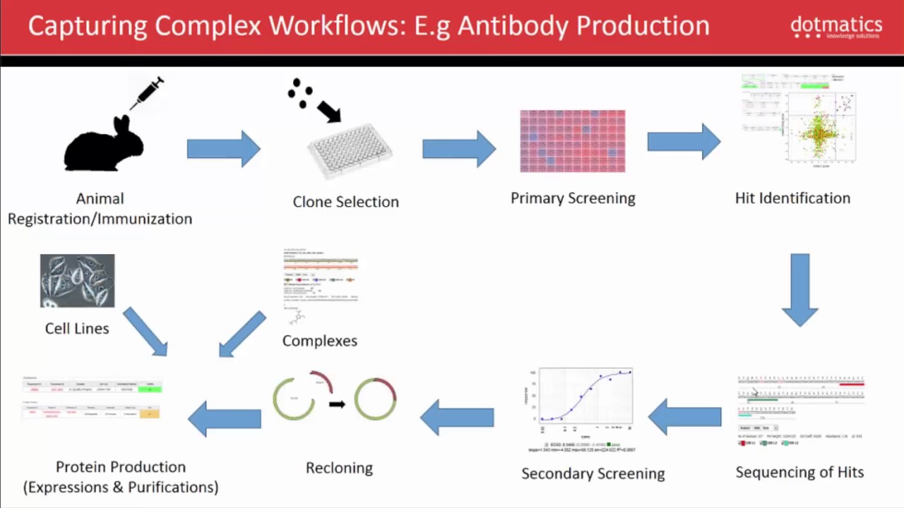 Dotmatics Integrated Informatics for Biologics Discovery Webinar ...