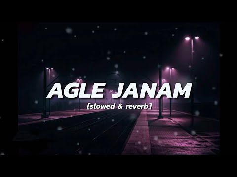 Agle Janam (Slowed & Reverb)- Rishi Roy | Hindi slowed and reverb song |hindi song
