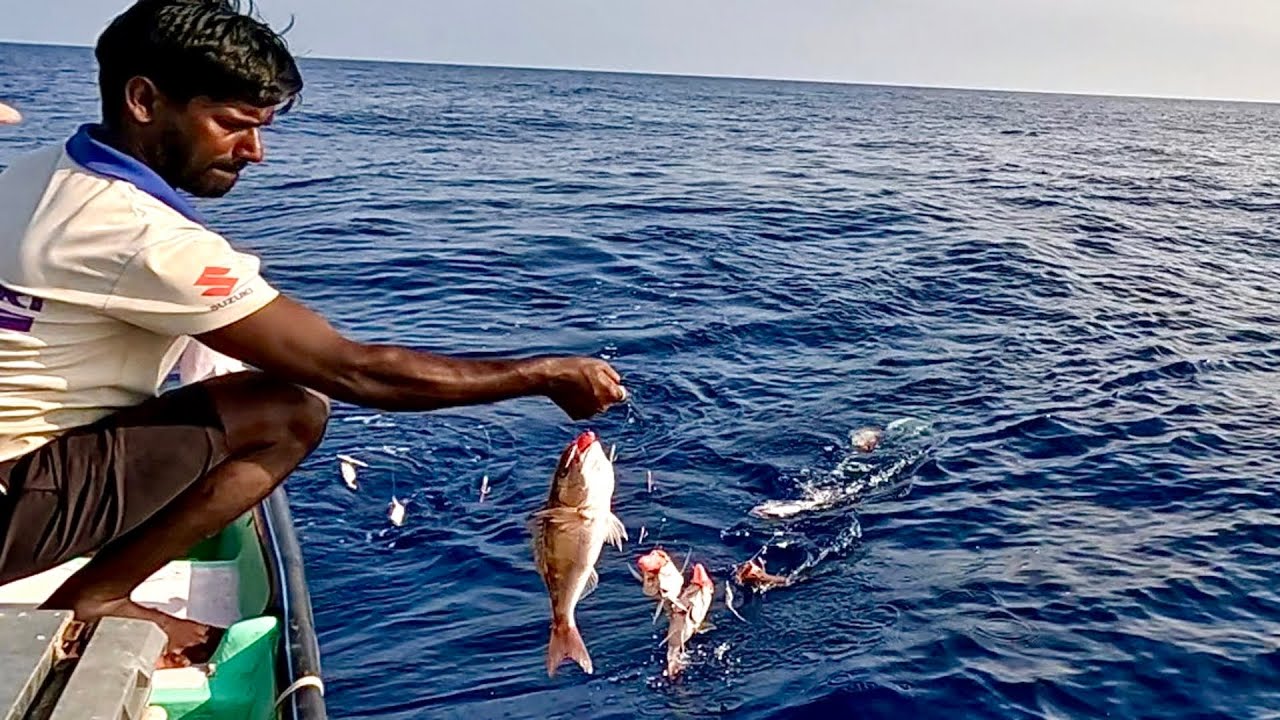 Hand Line Fishing at 300 Feet Deep for Rosy Snapper - YouTube