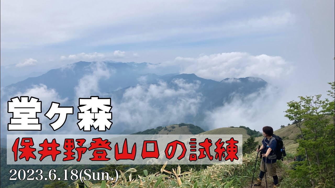 保井野登山口の試練【堂ヶ森(1689m)】2023.6.18(Sun.) - YouTube
