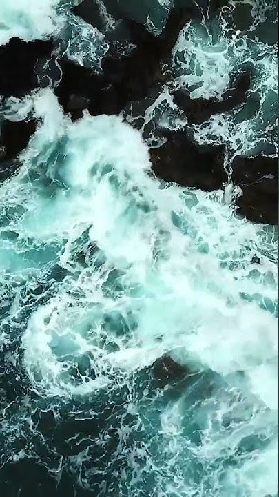 VOYAGE EN POESIE n°24 : "Poisson" par Paul Eluard #shorts - YouTube