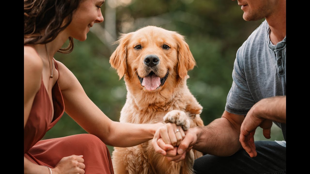 Edit Like a Pro: Editing Animals in Lightroom - YouTube